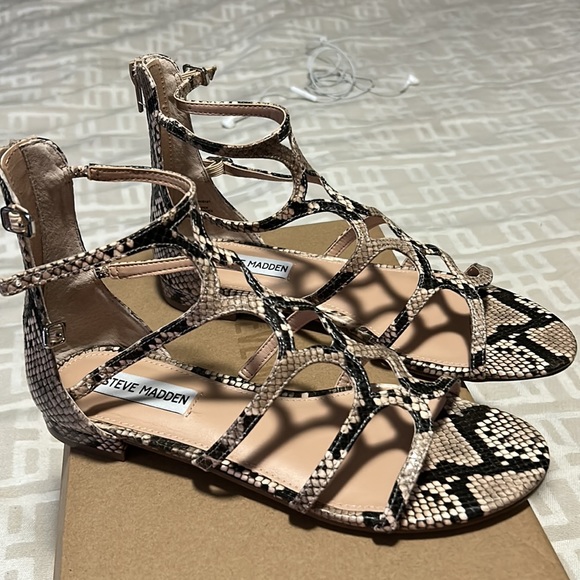 Steve Madden | Shoes | Steve Madden Gladiator Snake Sandals Size 7 Nib ...